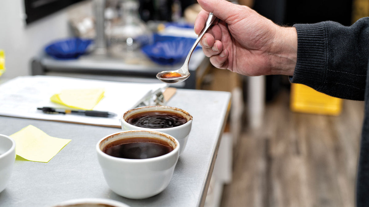 What Cupping Is and Why It’s Essential to Great Coffee? – Parisi Coffee
